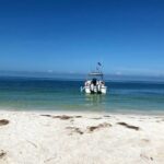 St. Petersburg, FL: Private 5-Hour Egmont Key Boat Tour - Who Is This Tour Best For?