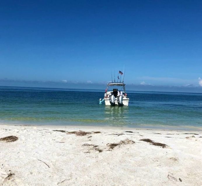 St. Petersburg, FL: Private 5-Hour Egmont Key Boat Tour - Who Is This Tour Best For?
