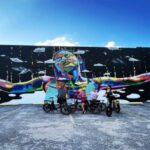 St. Petersburg, FL: Sightseeing & Murals Electric Bike Tour - Who Will Love This Tour?