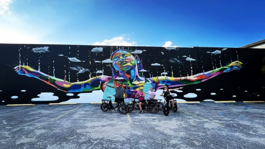 St. Petersburg, FL: Sightseeing & Murals Electric Bike Tour - Who Will Love This Tour?