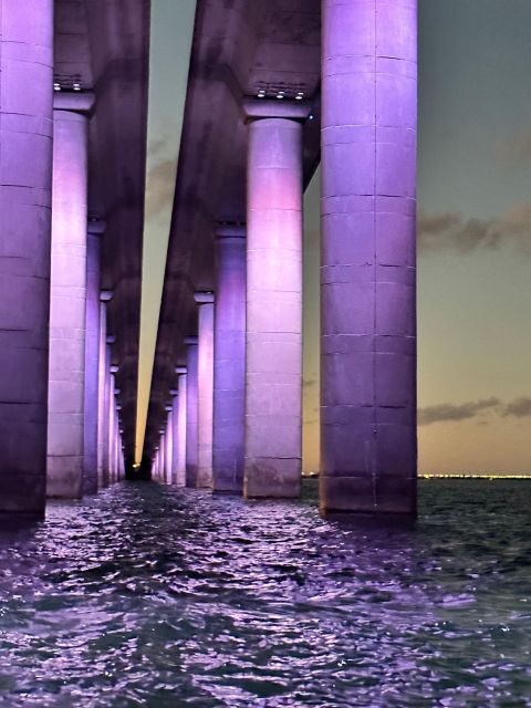 St. Petersburg, FL: Sunset & Skyway Bridge Lights Tour - Analyzing the Value and Price