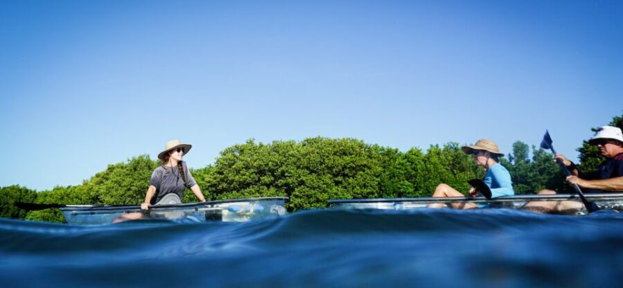 St. Petersburg, FL: Weedon Island Kayak Tour - Understanding the Value