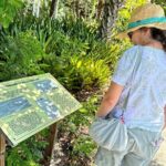 St. Petersburg Jungle Prada Site History Tour - Who will enjoy this experience?