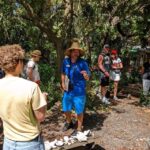 St. Petersburg: Jungle Prada Site History Tour - The Journey Through Native Florida