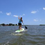 Stand Up Paddle Board Rental in Rose Bay - Analyzing the Value and Practicalities