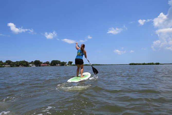 Stand Up Paddle Board Rental in Rose Bay - Analyzing the Value and Practicalities