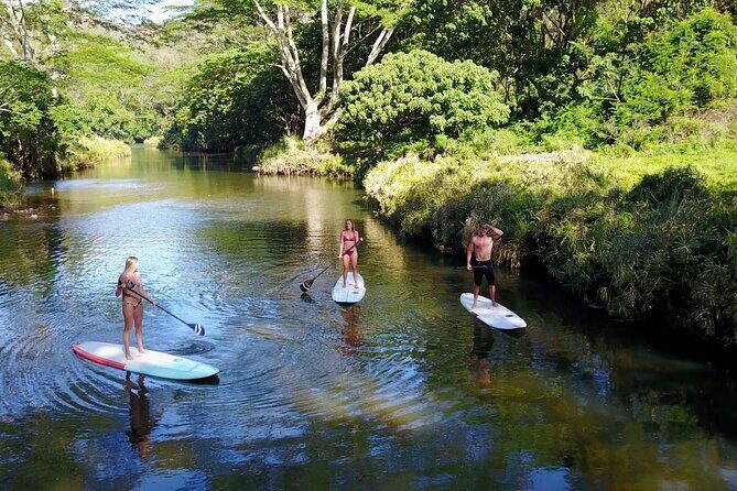 Stand Up Paddle Rental- Wailua River to Secret Falls - The Sum Up