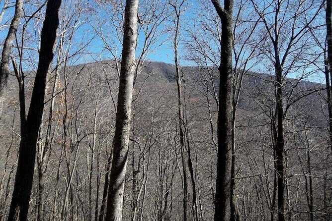 Standing Indian Mountain Hike plus Wine Tasting - Is This Tour Right for You?