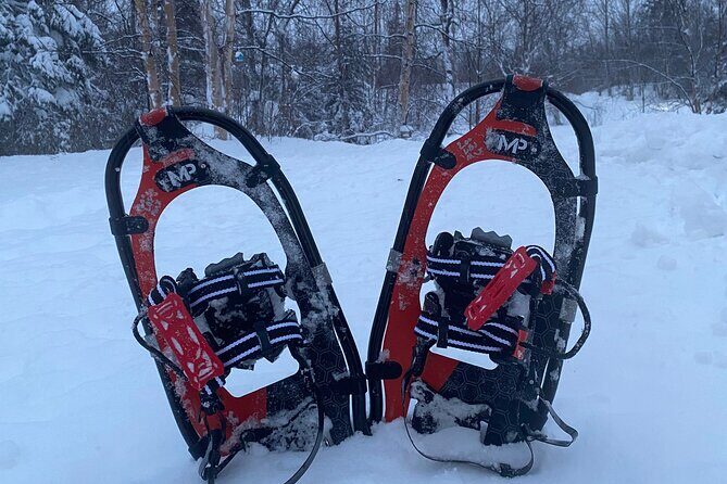 Starlight Snowshoe Adventure in Alaska - Value and Practicality