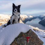 Stavanger: Preikestolen Winter Hike + Hot Lunch - The Hike Itself: What to Expect