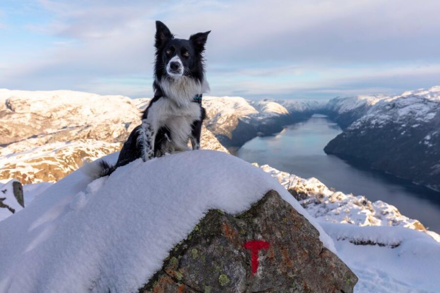 Stavanger: Preikestolen Winter Hike + Hot Lunch - The Hike Itself: What to Expect