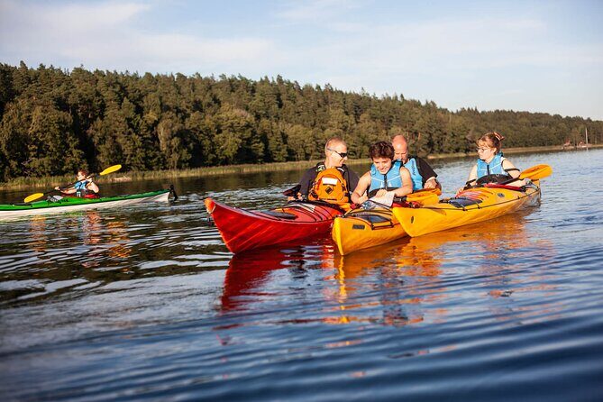Stockholm: Archipelago Family-Friendly Private Kayaking Tour - Who Should Consider This Tour?