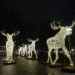 Stockholm Christmas Tour and Food Experience - Final Thoughts: Who Will Love This?