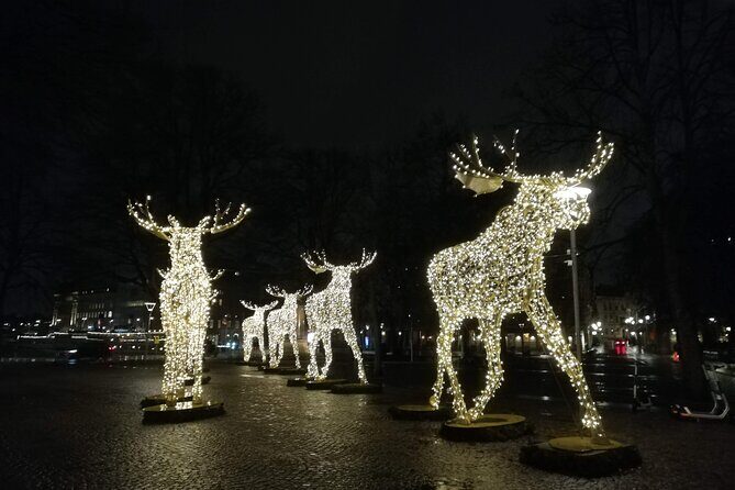 Stockholm Christmas Tour and Food Experience - Final Thoughts: Who Will Love This?