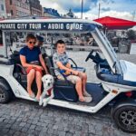 Stockholm Highlights by Golf Cart Tour - In-Depth: What You Can Expect on the Tour