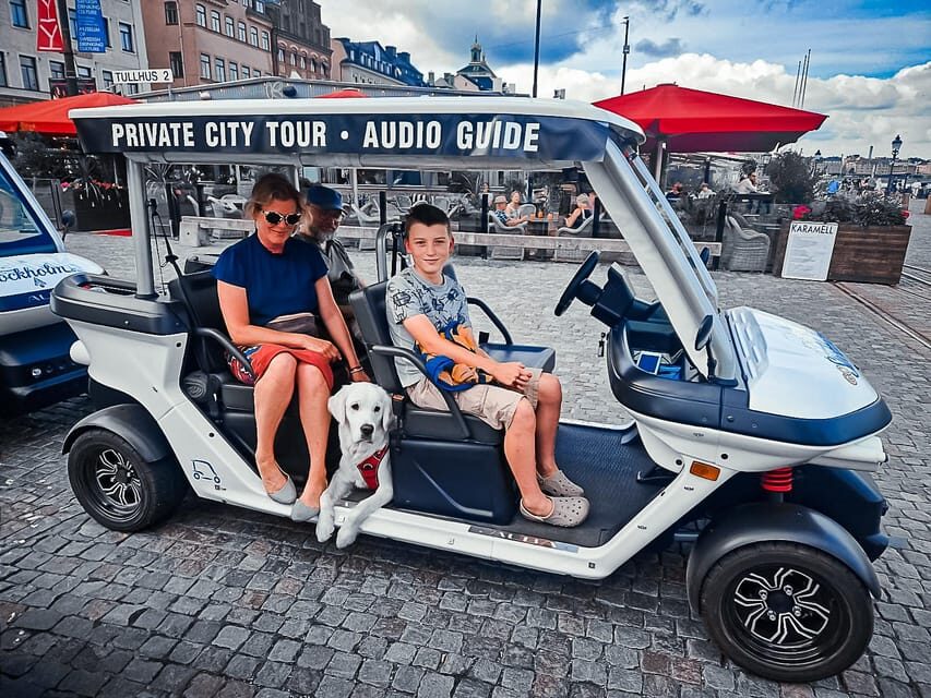 Stockholm Highlights by Golf Cart Tour - In-Depth: What You Can Expect on the Tour