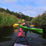 Stockholm: Stockholm Archipelago Full-Day Kayak Tour - Value & Practical Considerations