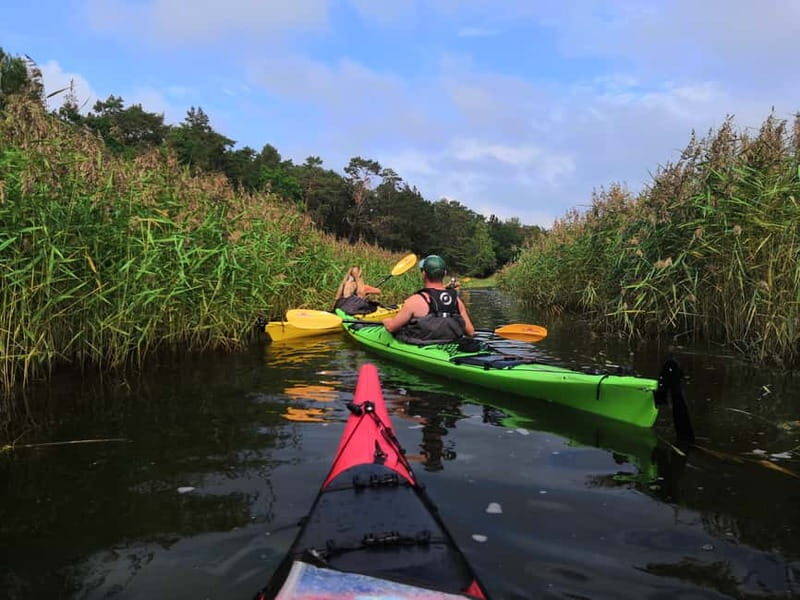 Stockholm: Stockholm Archipelago Full-Day Kayak Tour - Value & Practical Considerations
