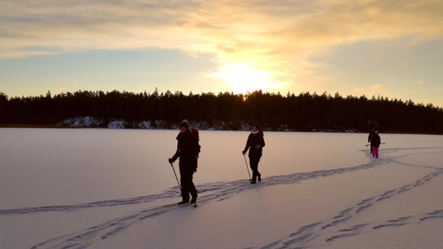 Stockholm: Winter Snowshoe Full-Day Hike - Why Guides and Safety Matter