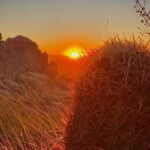 Stunning Sunset or Sunrise Guided Hiking Adventure in Phoenix - In-Depth Itinerary Breakdown