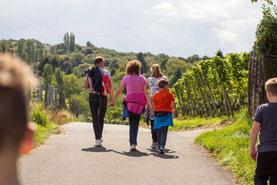 Stuttgart Nature Experience Day - Inclusions and Practical Details