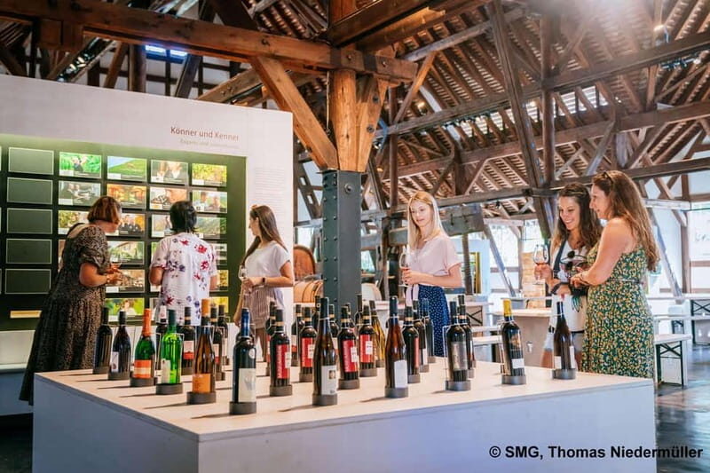 Stuttgart: Taster tour of the Wine Museum incl. 0.1 l wine - The Itinerary in Detail