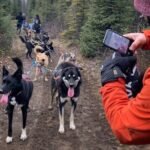 Summer Dog Sledding Adventure in Willow, Alaska - An Authentic, Private Ride