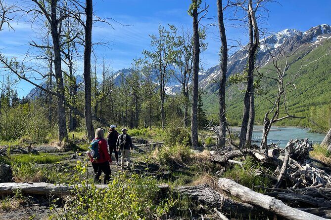 Summer Valley and Forest Hike - The Itinerary Breakdown