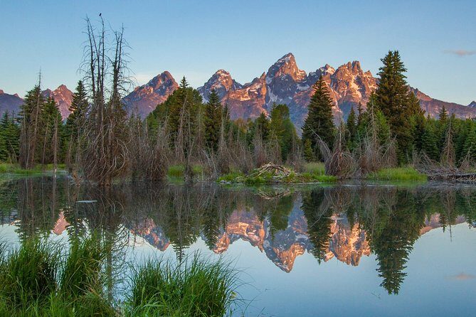 Sunrise 4-Hour Grand Teton Wildlife Adventure - Viewing Wildlife: Authentic Encounters