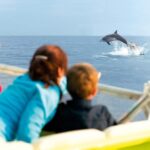 Sunrise Boat Trip in Mallorca with Dolphin-Watching - Authenticity and Value