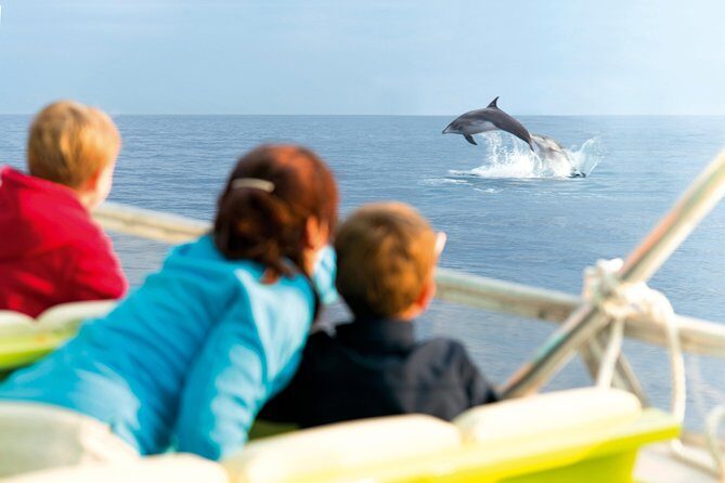 Sunrise Boat Trip in Mallorca with Dolphin-Watching - Authenticity and Value