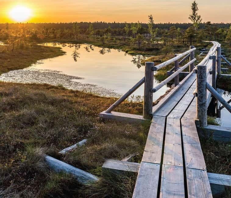 Sunrise Tour To Great Kemeri Bog - The Real Value and Who Will Appreciate It