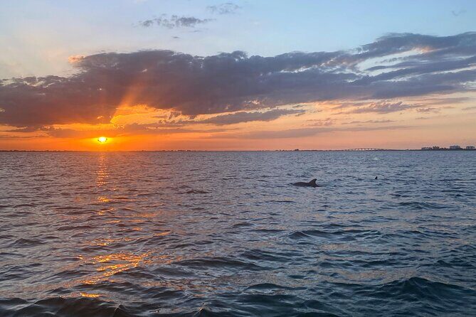 Sunset and Dolphin Cruise around Fort Myers Beach - An In-Depth Look at the Sunset and Dolphin Cruise