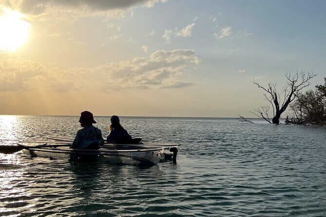 Sunset and Glow Clear Kayak Tour in North Naples - The Value of the Experience