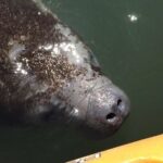 Sunset Bioluminescence Tour - Authentic Experiences and Practical Details