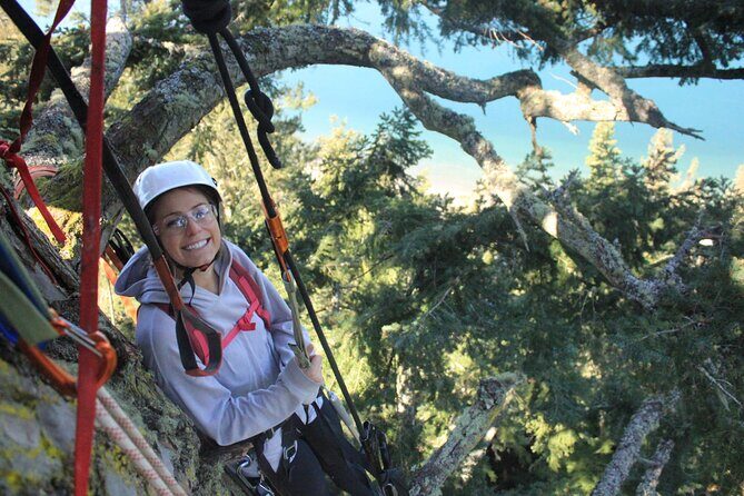Sunset Canopy Climb on Lopez Island - The Itinerary in Detail