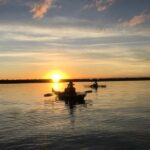 Sunset Clear Kayak Tour - The Highlights: Wildlife, Views, and Education
