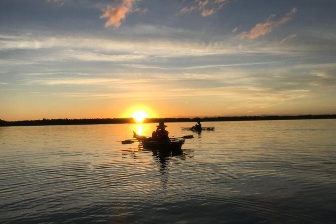 Sunset Clear Kayak Tour - The Highlights: Wildlife, Views, and Education