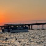 Sunset Dolphin Cruise - Who Will Appreciate This Tour?