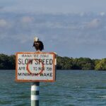 Sunset Dolphin Cruise with Sanibel Lighthouse Views - Final Thoughts
