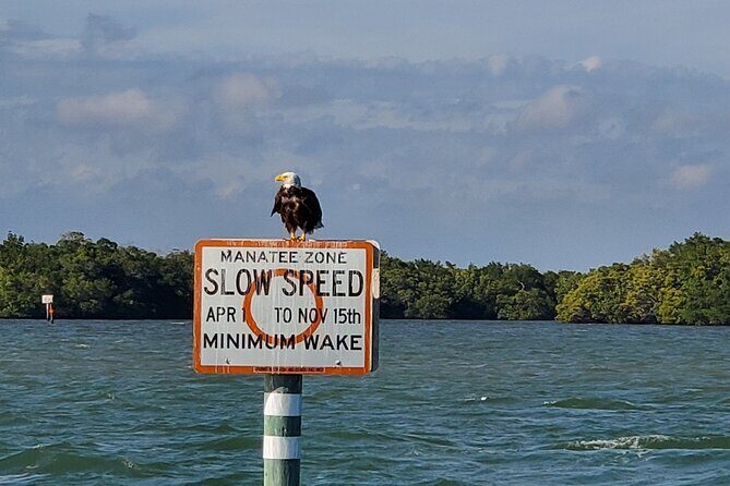 Sunset Dolphin Cruise with Sanibel Lighthouse Views - Final Thoughts