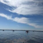 Sunset kayaking tour at Manatee Cove with Manatee & Dolphin sightings - FAQ