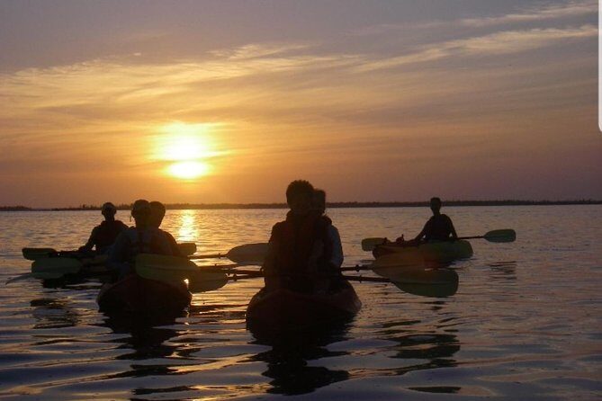 Sunset Kayaking w/ Florida Bioluminescence Combo Tour | Haulover canal - Final Thoughts