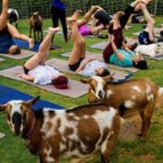 Sunset Maui Goat Yoga with Live Music - The Setting: Maui’s Coastline and Farm Atmosphere