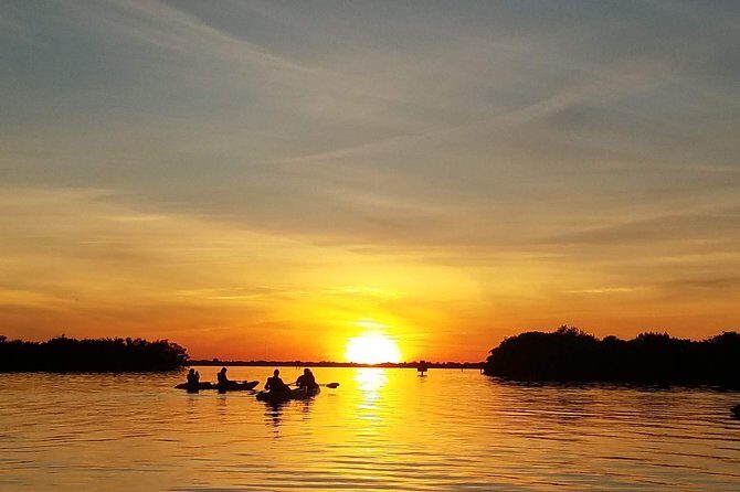 Sunset Tour Mangrove, Dolphins, Manatee #1 Rated in Cocoa Beach - The Itinerary Breakdown