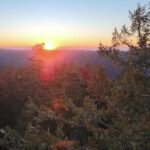 Sunset Tree Climb at Silver Falls State Park - The Sum Up
