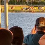 Sunset Wildlife Cruise along Assateague & Chincoteague Island - Who Should Consider This Tour?