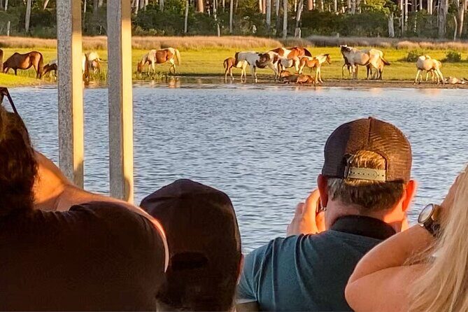 Sunset Wildlife Cruise along Assateague & Chincoteague Island - Who Should Consider This Tour?