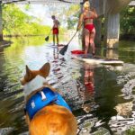 SUP PUP Paddleboard Tour - What To Expect: The Experience in Detail