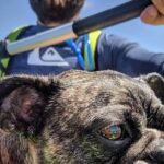 SUP Rental - The Itinerary: What to Expect